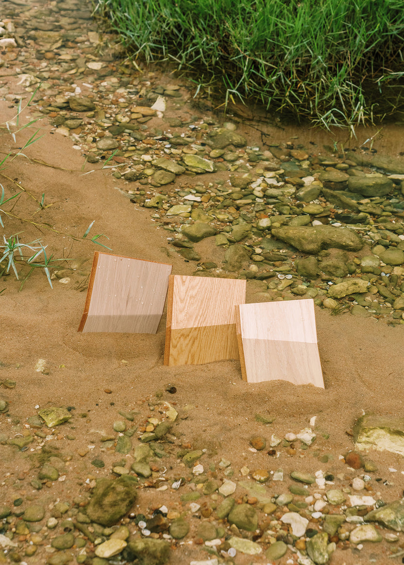 Families | Rebels – Stuga